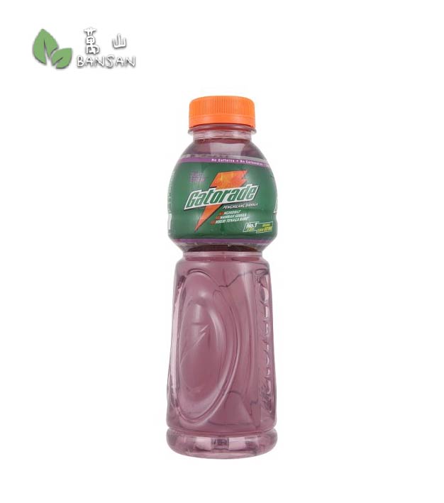Gatorade Quiet Storm Isotonic Sport Drink [500ml] | Bansan Penang
