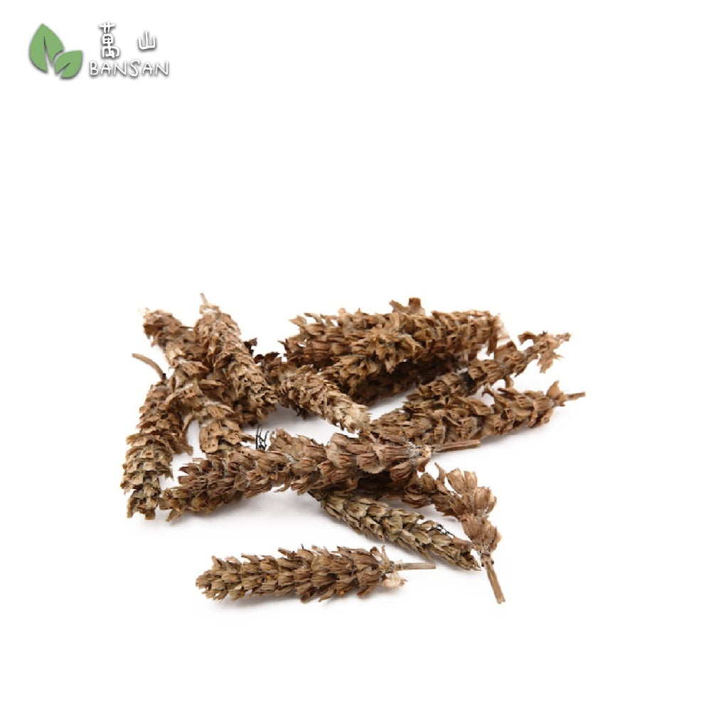 Prunella (Herbal Tea) 夏枯草 (100g) | Bansan Penang